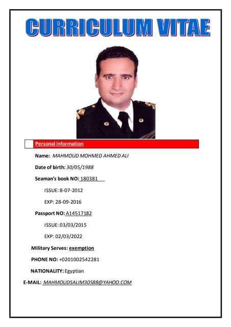 cv egypt +1 | PDF