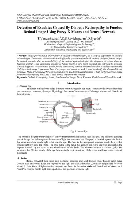Diabetic Retinopathy Analysis using Fundus Image | PPTX | Eye and Vision Conditions | Diseases ...