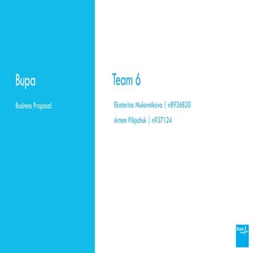 EY Business Proposal_Ekaterina Mukovnikova | PDF