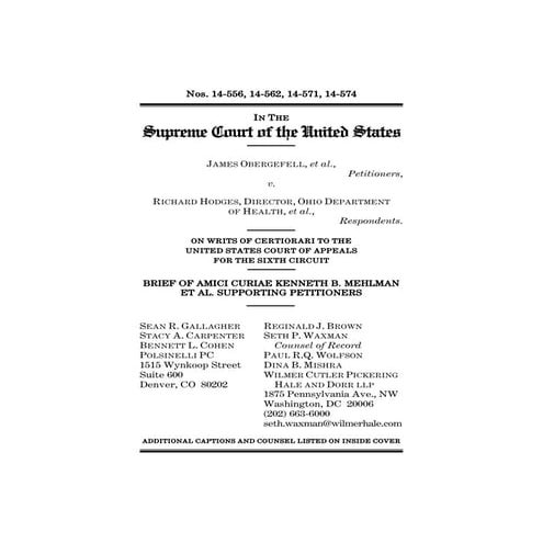 SupremeCourtAmicusBrief | PDF | Legal Services Industry | Industries