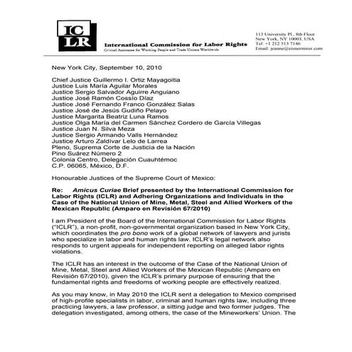 English Amicus Curiae Brief | PDF