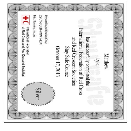 Stay Safe Training | PDF