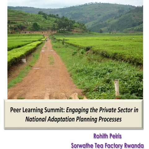 Sorwathe Tea Factory Rwanda | PDF