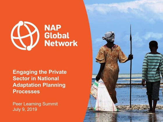 Introduction to the NAP Process and NAP Global Network | PPTX