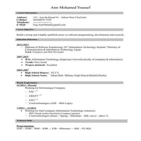 Amr Mohamed Youssef | RTF | Computing | Technology & Computing