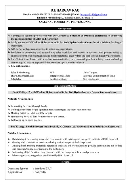 Raman Resume | DOCX | Business | Business and Finance