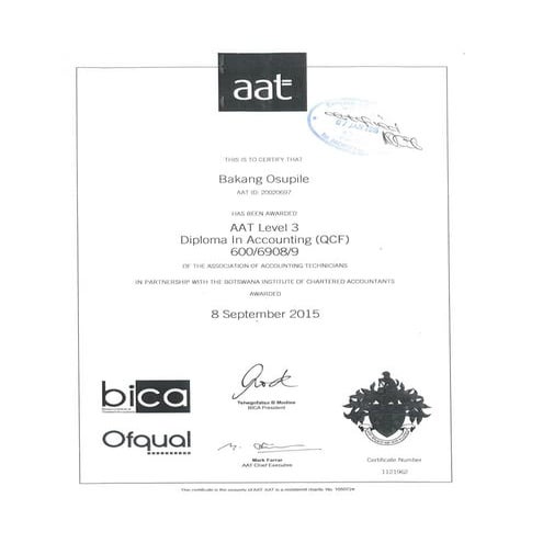 AAT LEVEL 2&3 CERTIFICATES | PDF