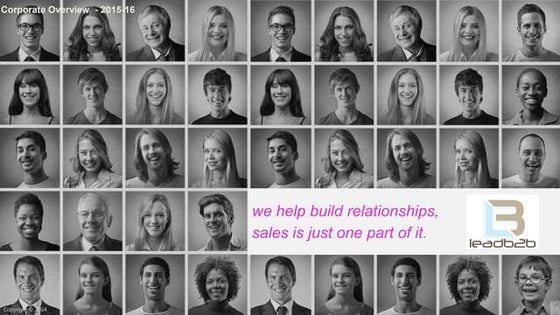 LanguageLine Solutions Enterprise Brochure | PDF