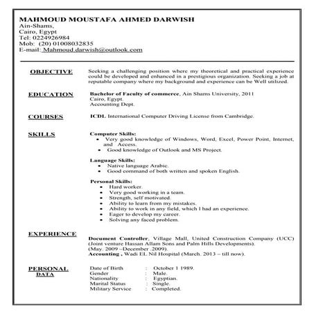 Mahmoud CV | PDF | Careers