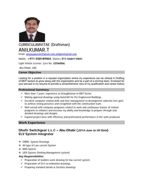 Syed NE Designer CV | DOC | Computing | Technology & Computing