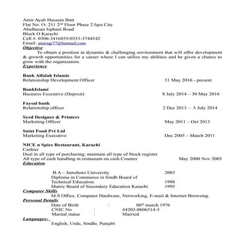 amir butt new cv | ODT | Business | Business and Finance