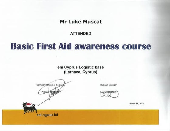 MEDSERV plc - Reference Letter | PDF