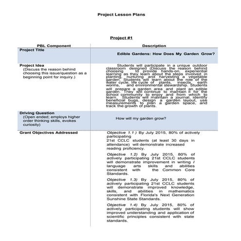 project lesson plans | DOC
