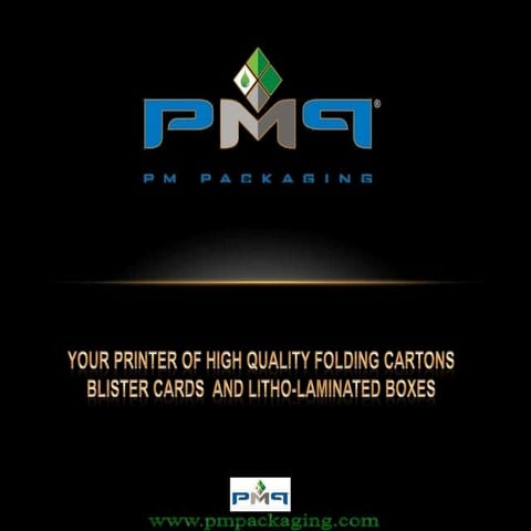 Presentacion PMP | PPTX