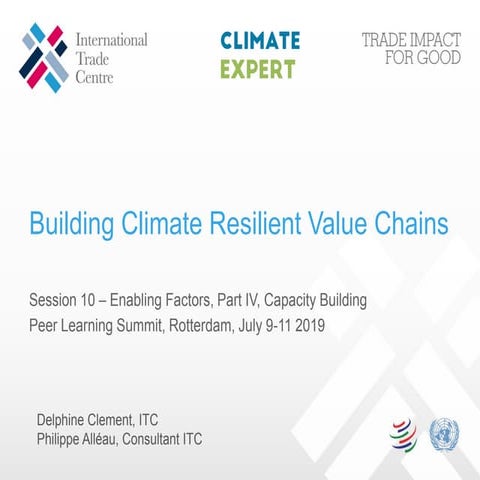 Building Climate Resilient Value Chains | PDF