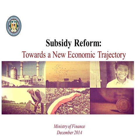 Subsidy Reform by Omneya Ramadan | PPT