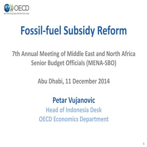 Fossil-fuel Subsidy Reforem by Petar Vujanovic | PDF