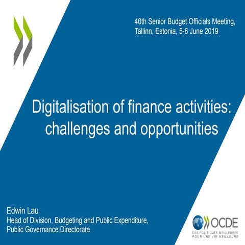 Digitalisation of finance activities: Challenges and opportunities ...