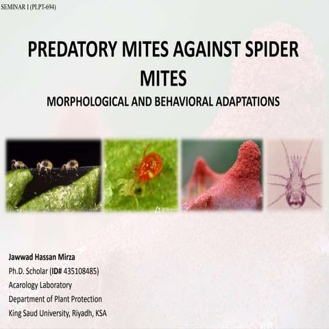 Predatory and Spider mite interaction | PPTX