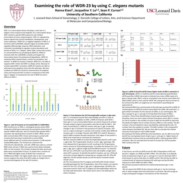 Molecular Bio Poster 12_9 SuperFinal | PPTX