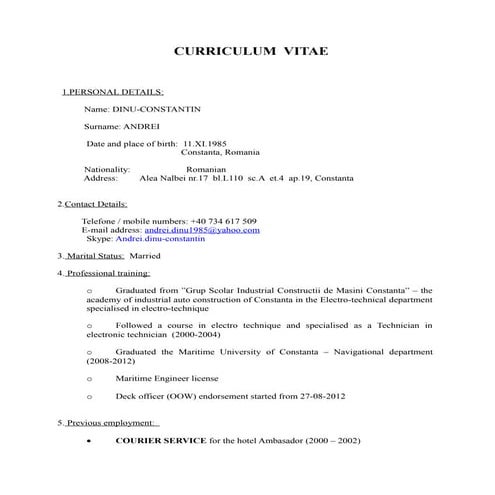 CURRICULUM VITAE ENG ANDREI DINU | DOC | Careers