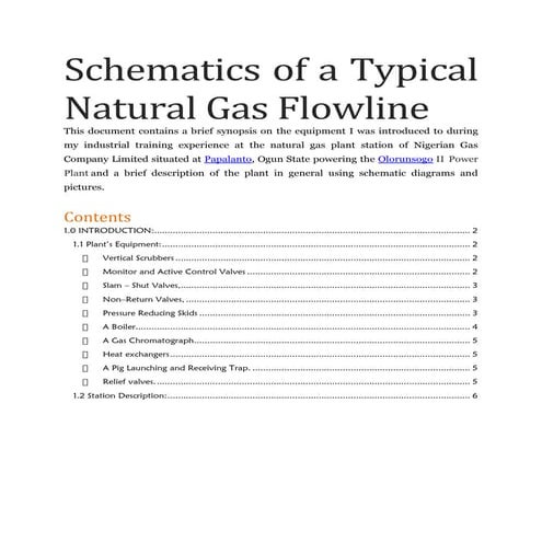 Schematics of a Natural Gas flowline | PDF