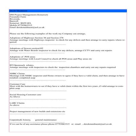 DM Project Management | PDF