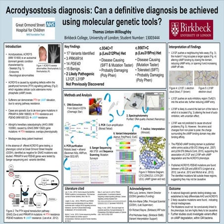 IRP-Poster_Acrodysostosis 120516 | PPT