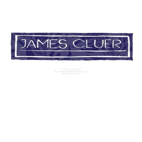 James Cluer Portfolio | PDF
