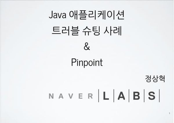 Making Java More Dynamic Runtime Code Generation For The Jvm