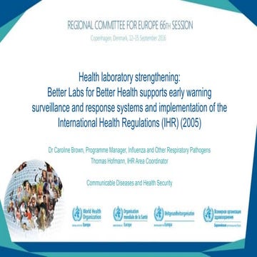 Presentation –Health laboratory strengthening: Better Labs for Better ...