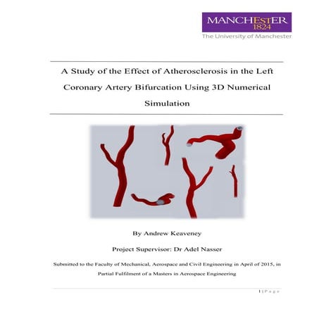 Master Copy Dissertation Final | PDF