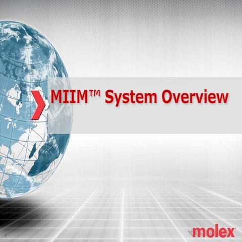MIIM Short Overview | PPT