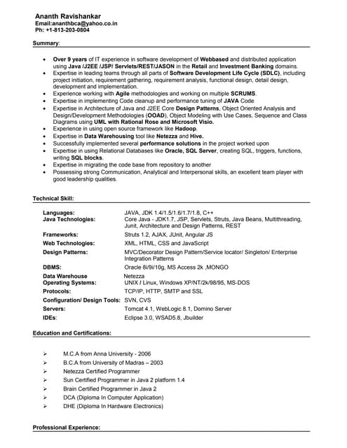 Amit_Resume | DOCX | Programming Languages | Computing