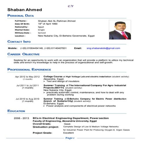 my cv (eng) | PDF | Technology & Computing