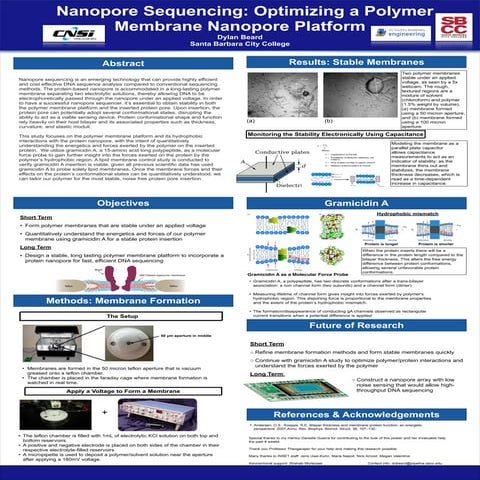 INSET poster_bearddylan | PDF