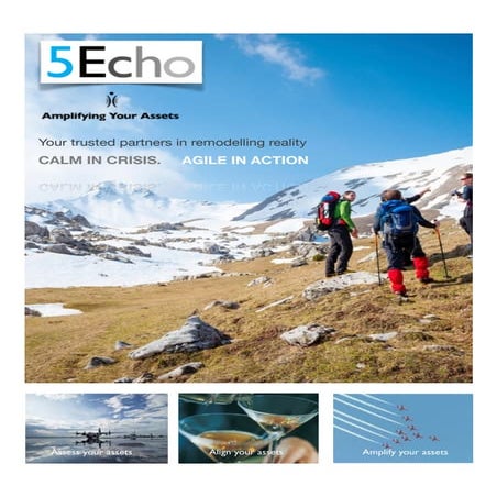 5Echo - Who we are | PDF