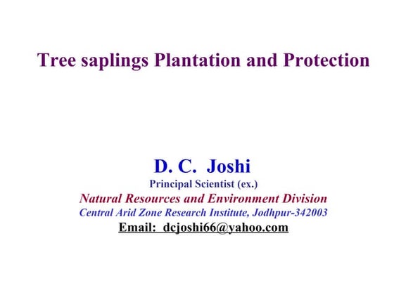 Landscaping on highway | PPTX