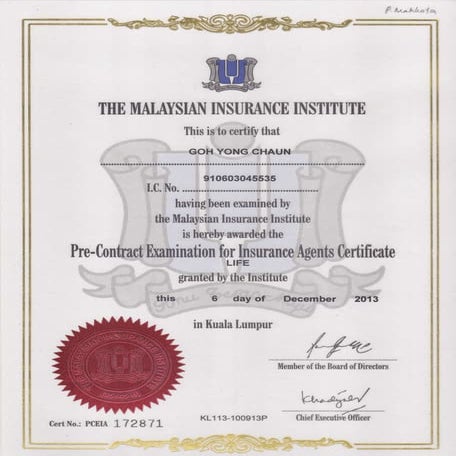 insurance 1 | PDF