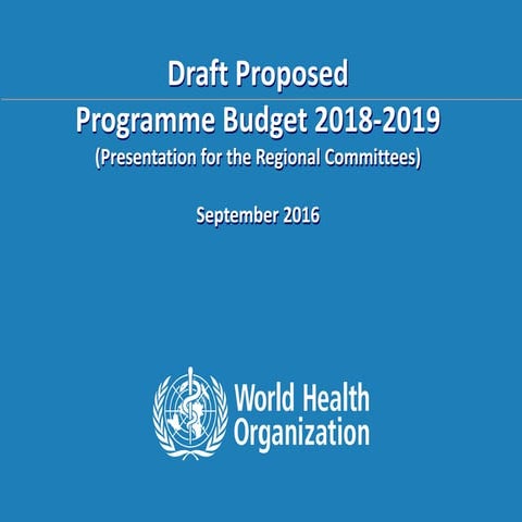 Draft proposed programme budget 2026-2027 | PPTX