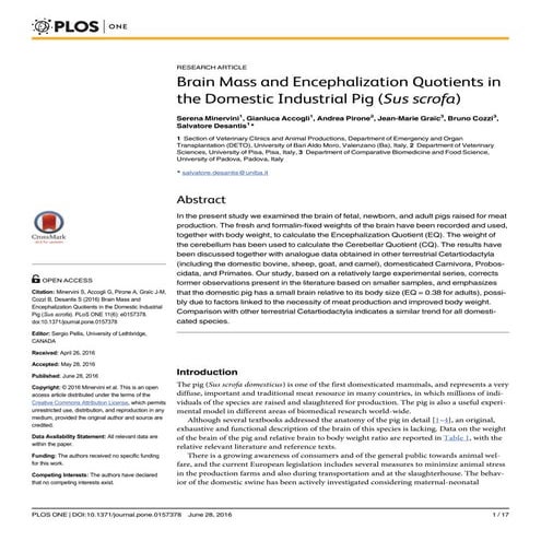 Brain Mass and Encephalization Quotients in the Domestic Industrial Pig ...