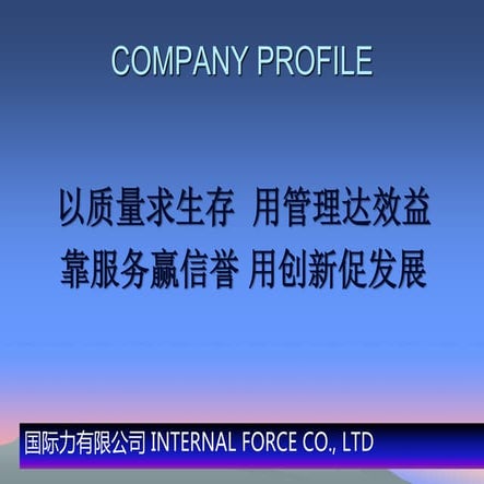 Company Presention-Interal Force-2015 | PPTX