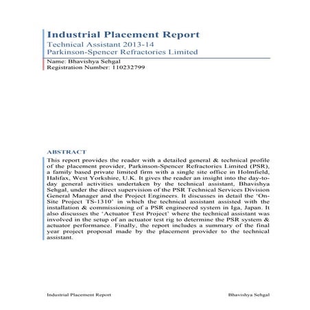 Industrial Placement Report | PDF