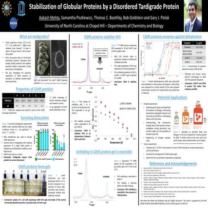 AM_PSM_Poster | PPT | Free Download