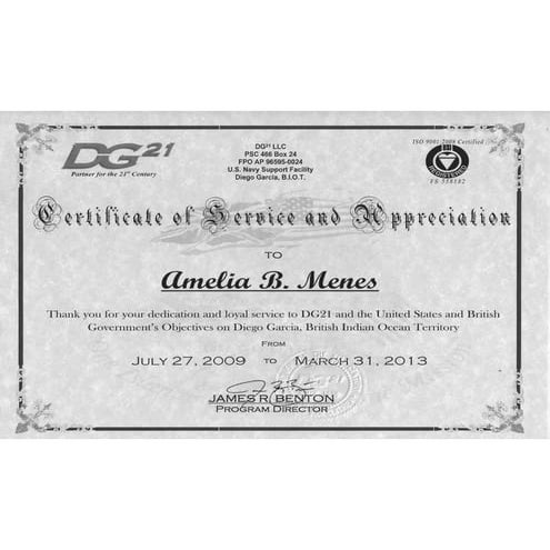 DG21 CERTIFICATE | PDF