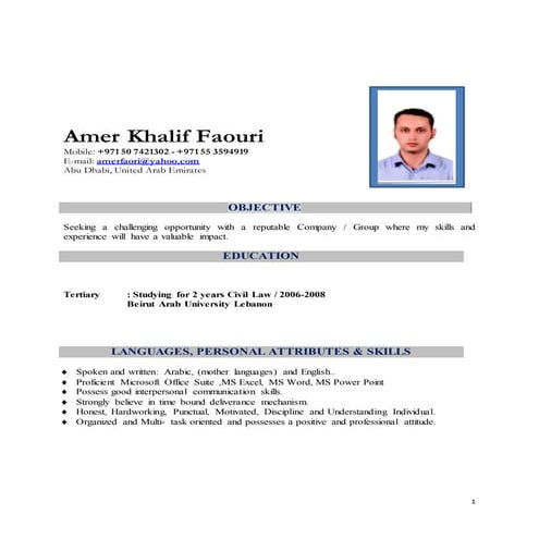 amer cv.docx 3 | DOCX