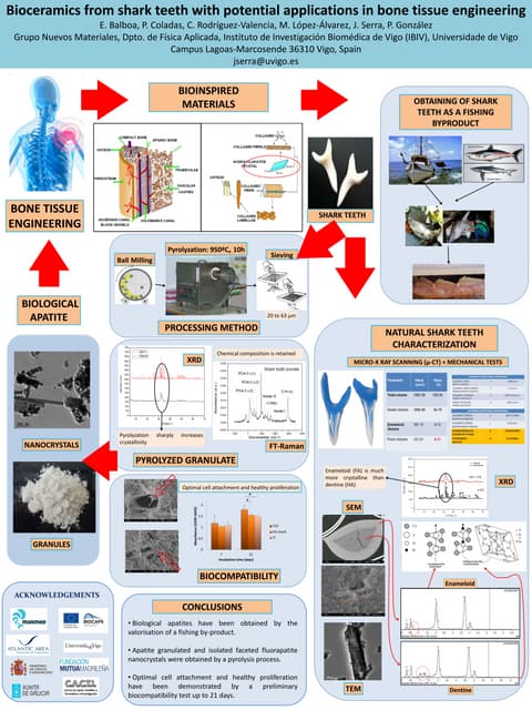 TISSUE ENGINEERING | PPT | Biological Sciences | Science