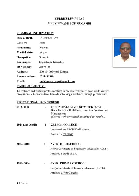 Curriculum Vitae Sample Format | PDF