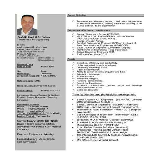 RAED CV | PDF