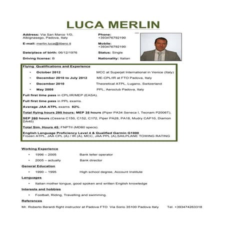 cv Merlin Luca pdf | PDF